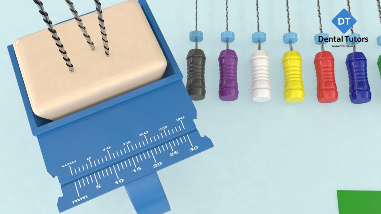 Dental Nursing Visual Gallery | Dental Tutors Innovative Learning